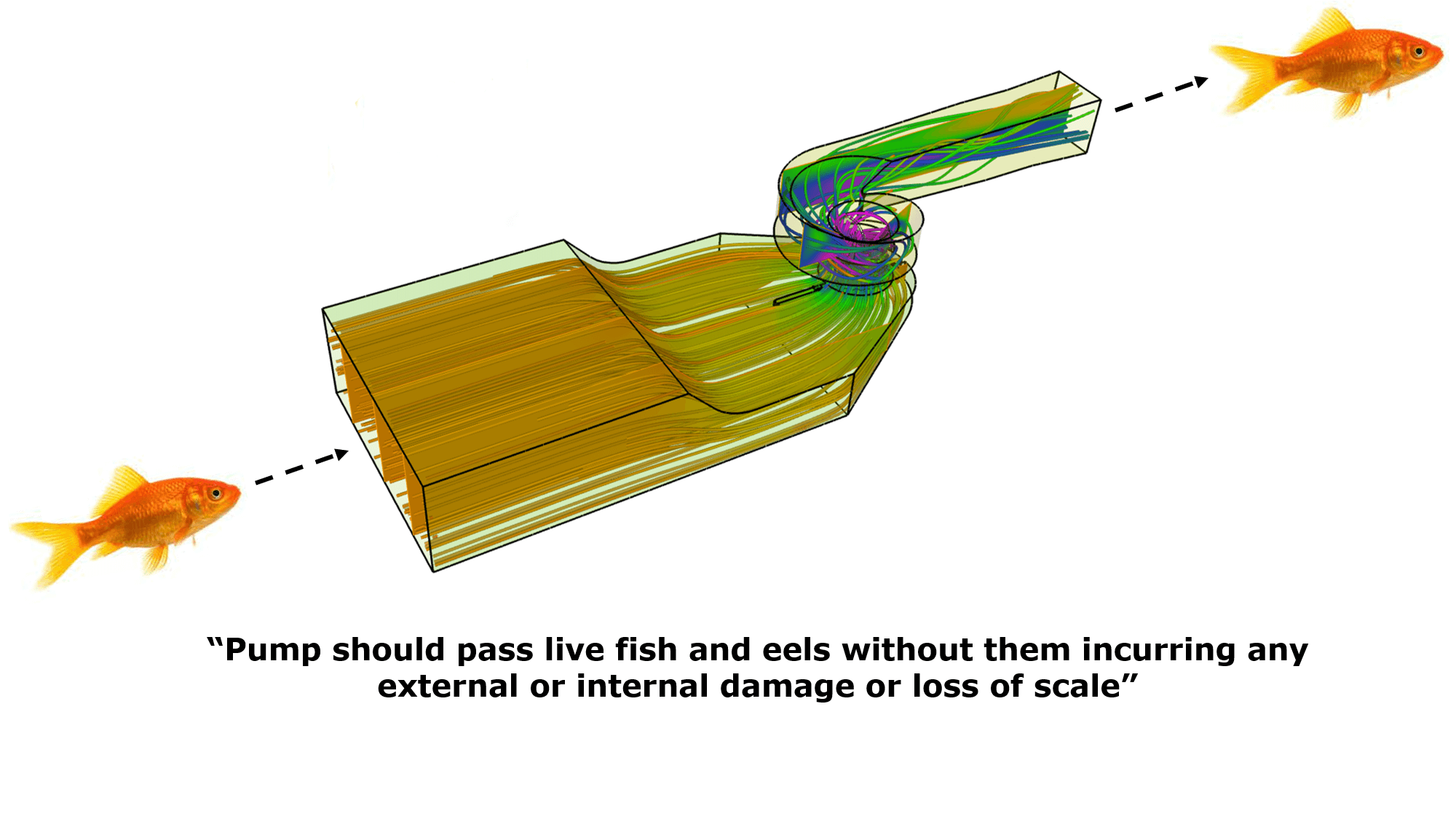 Fish Friendly Dutch Water Pump – Fluent Engineering Solutions: CFD ...